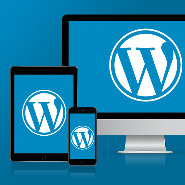 Web Designers, Wordpress Specialists, Logo and Brand Design